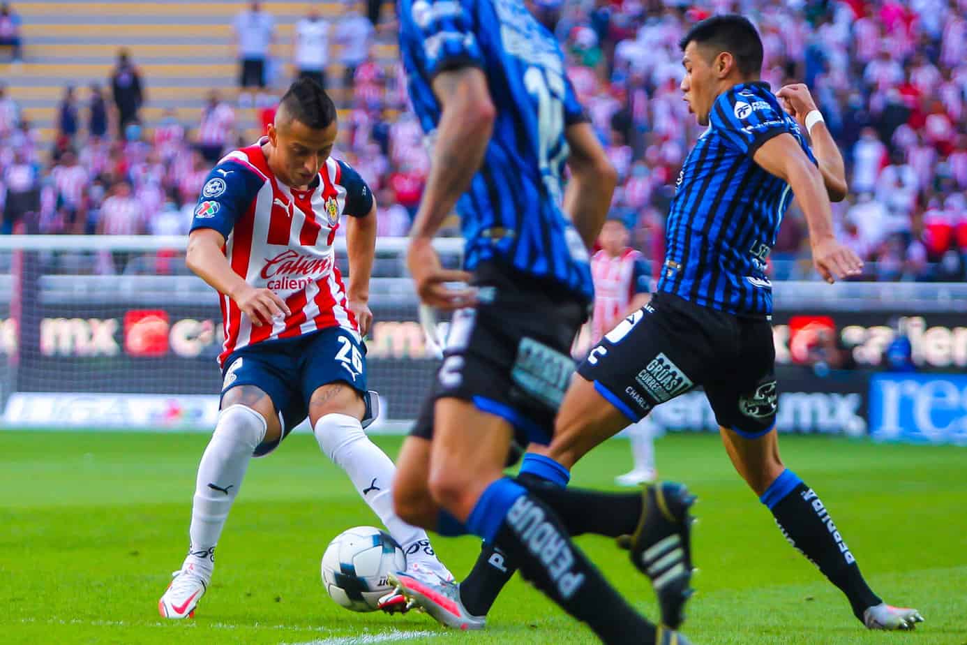 Chivas vs. Querétaro Betting Odds and Free Pick - Gambyl Sports Betting ...